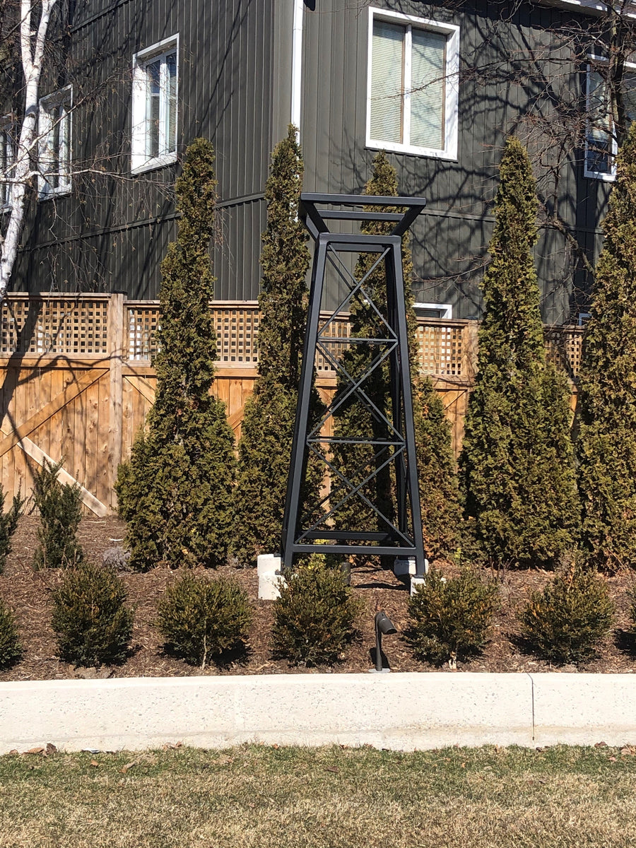 Degroot's Spire Cedar – Emily Cooper Gardening